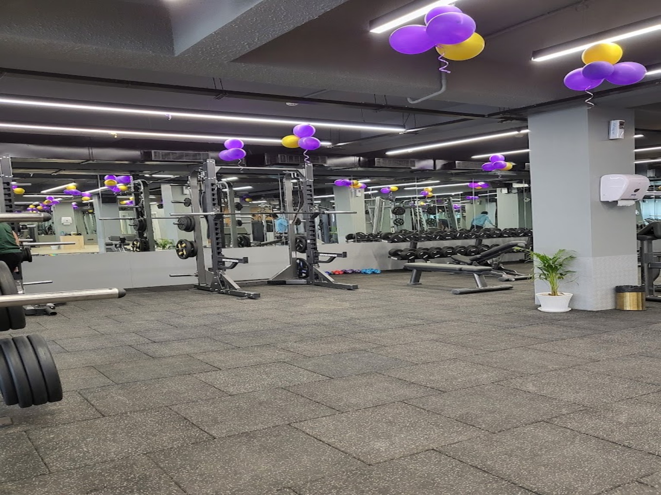 Best Gyms in Noida- Find your Nearest Anytime fitness Centre