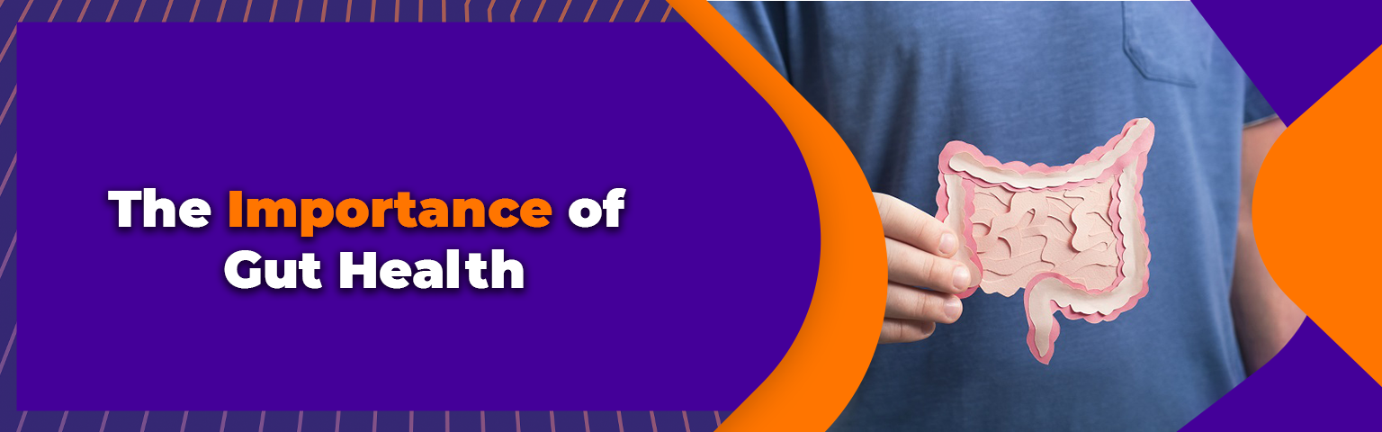 How gut health impacts immunity - Best foods for gut health